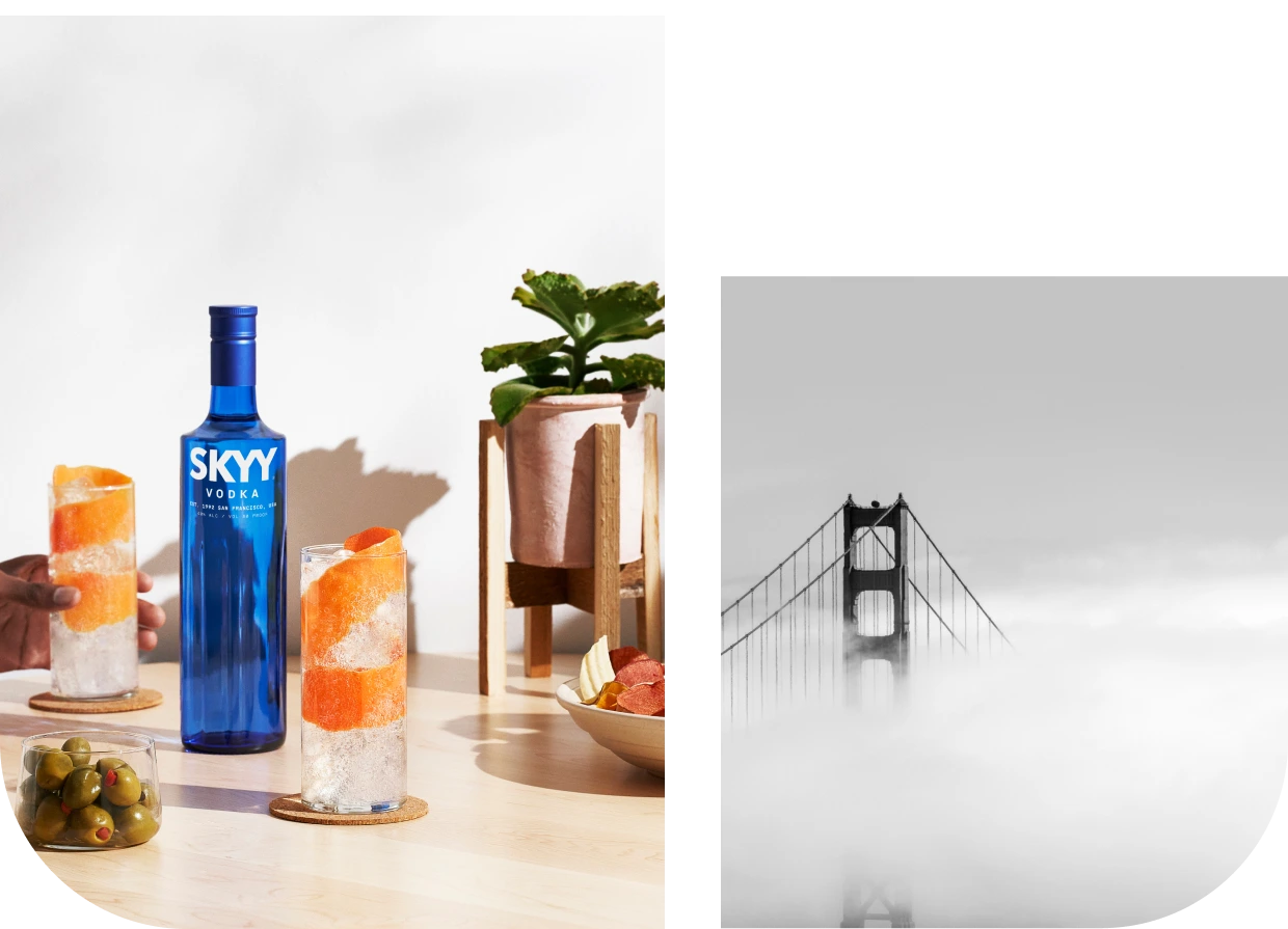 Explore SKYY Vodka | Skyy - en-us
